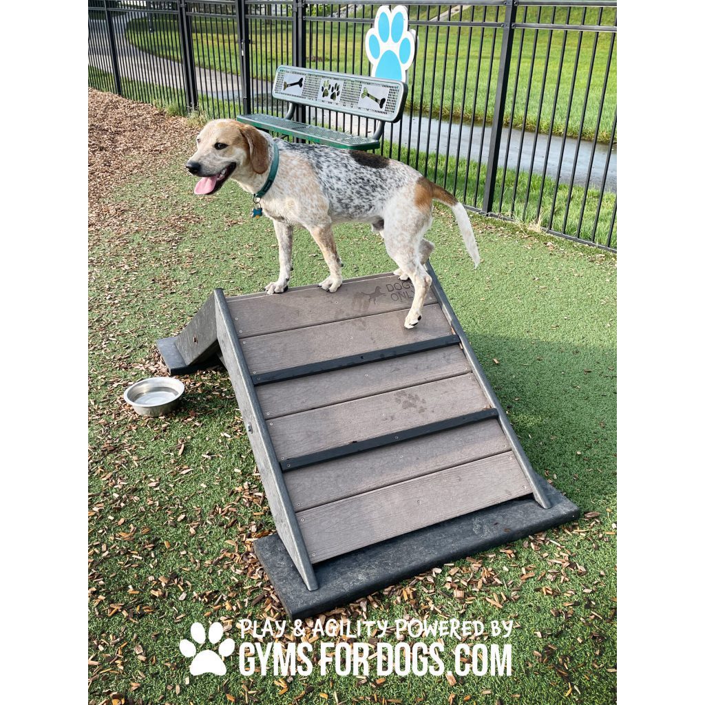 Dog Park Products | Mini Hill Climb (L/X)