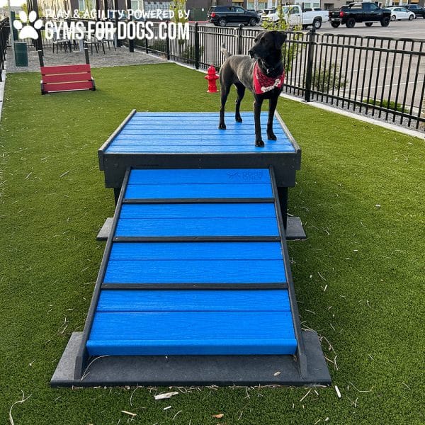 Agility Equipment Dogs | Dog Agility Equipment | Bridge Climb 24″ H ...