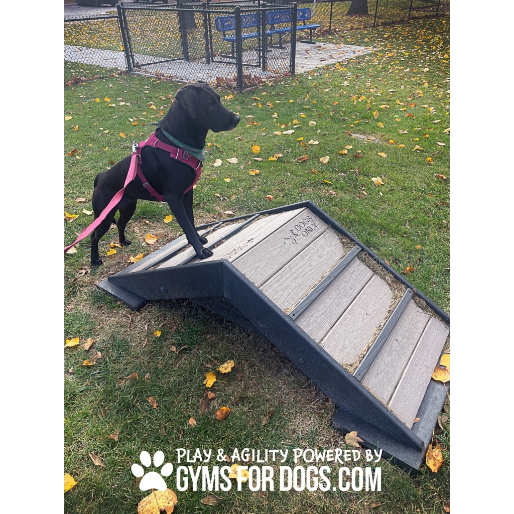 Agility Equipment Dogs | Dog Agility Equipment | Mini Hill Climb (S/M ...