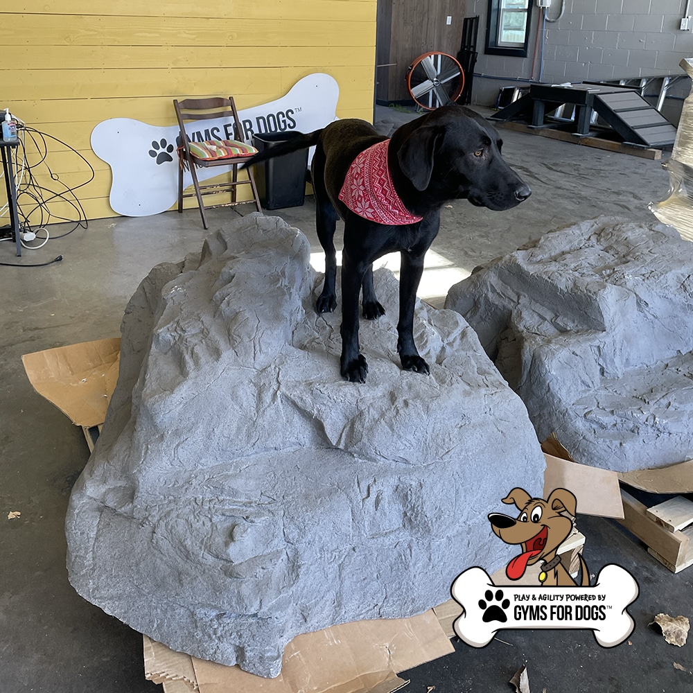 Agility Equipment Dogs | Dog Agility Equipment | Luxury Climbing ...