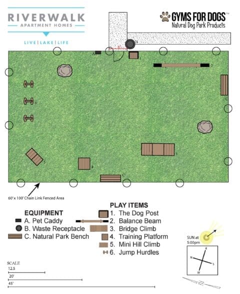 Dog Agility Equipment | Agility Equipment Dogs | Dog Water Fountains