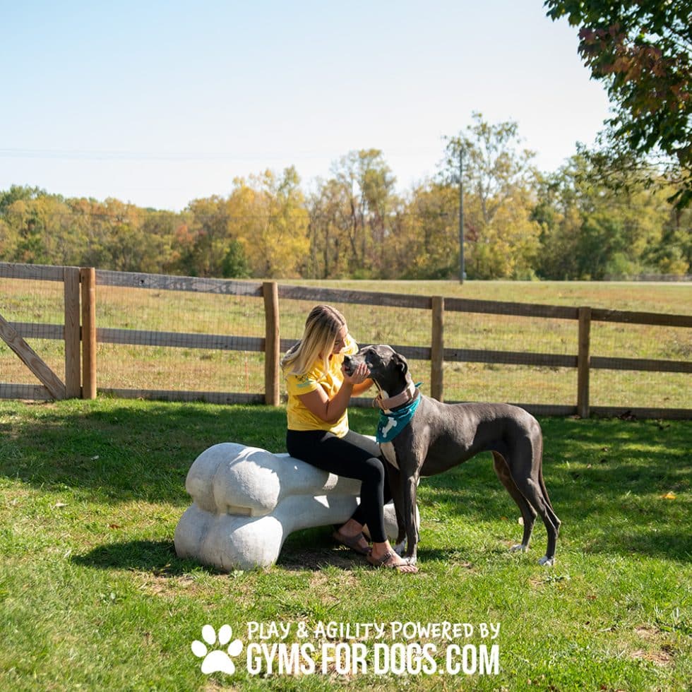 Dog Park Equipment | Dog Agility Products | Dog Park Products