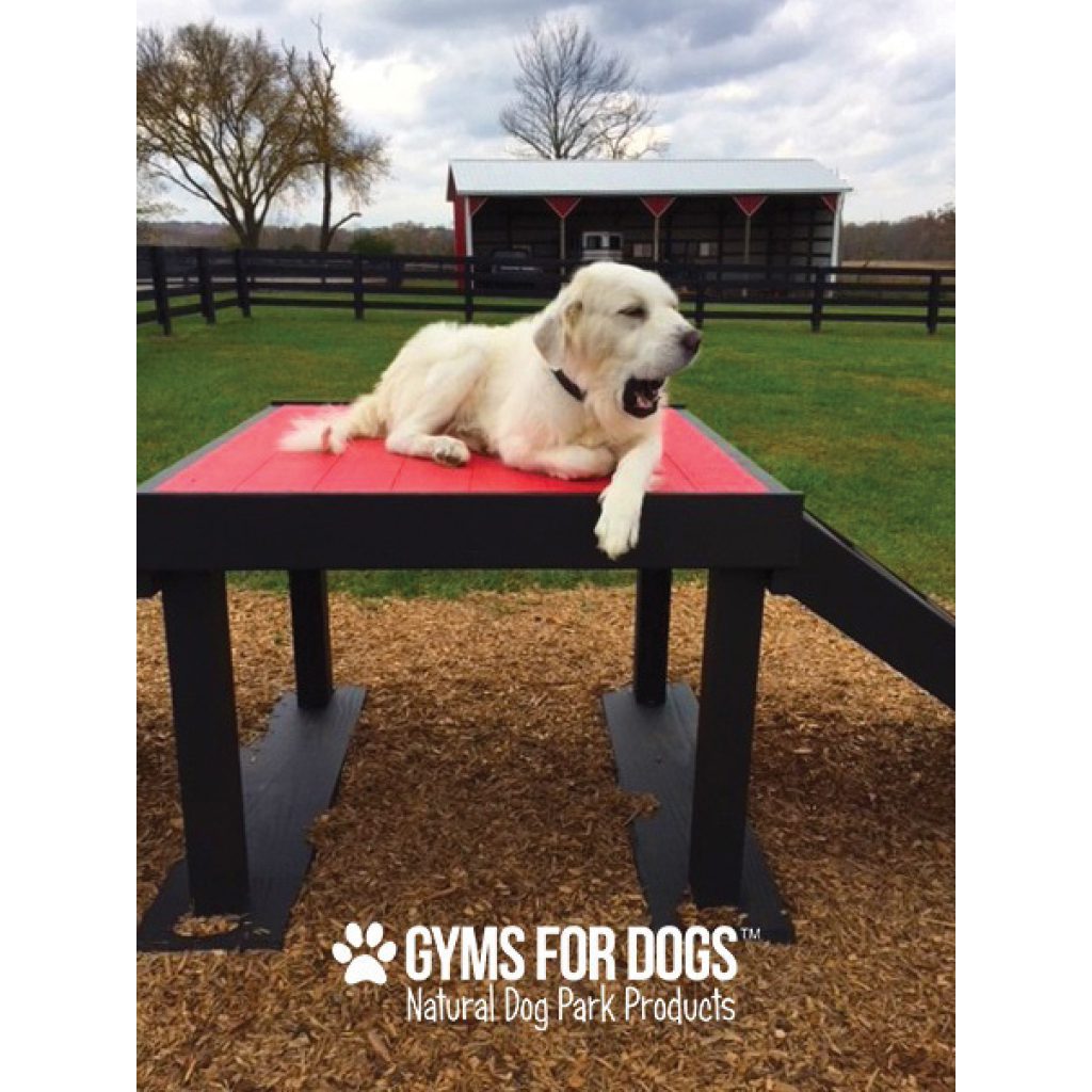 Dog Park Products | Bridge Climb Pro 34" H Training Incline