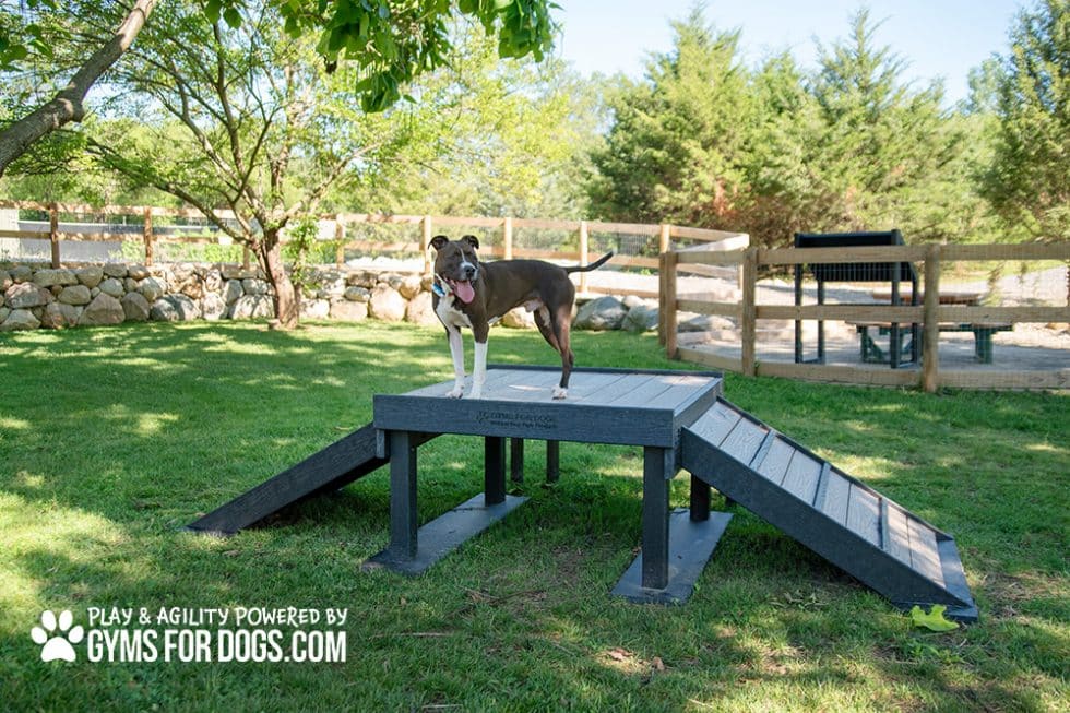 Dog Agility Equipment | Dog Park Products | Dog