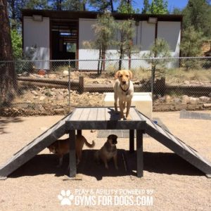 Agility Equipment Dogs | Dog Agility Equipment | Bridge Climb Pro 34″ H ...