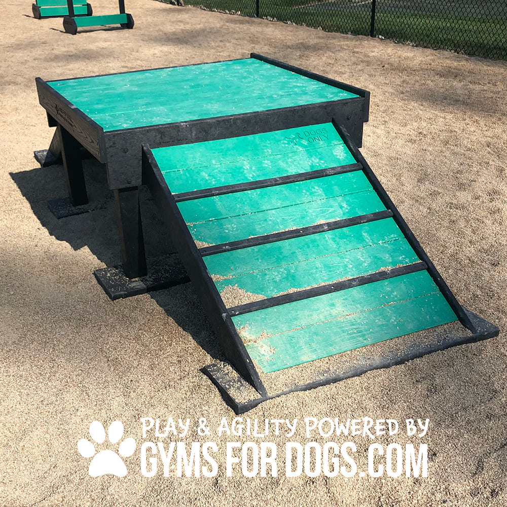 Agility Equipment Dogs | Dog Agility Equipment | Bridge Climb 29″ H ...