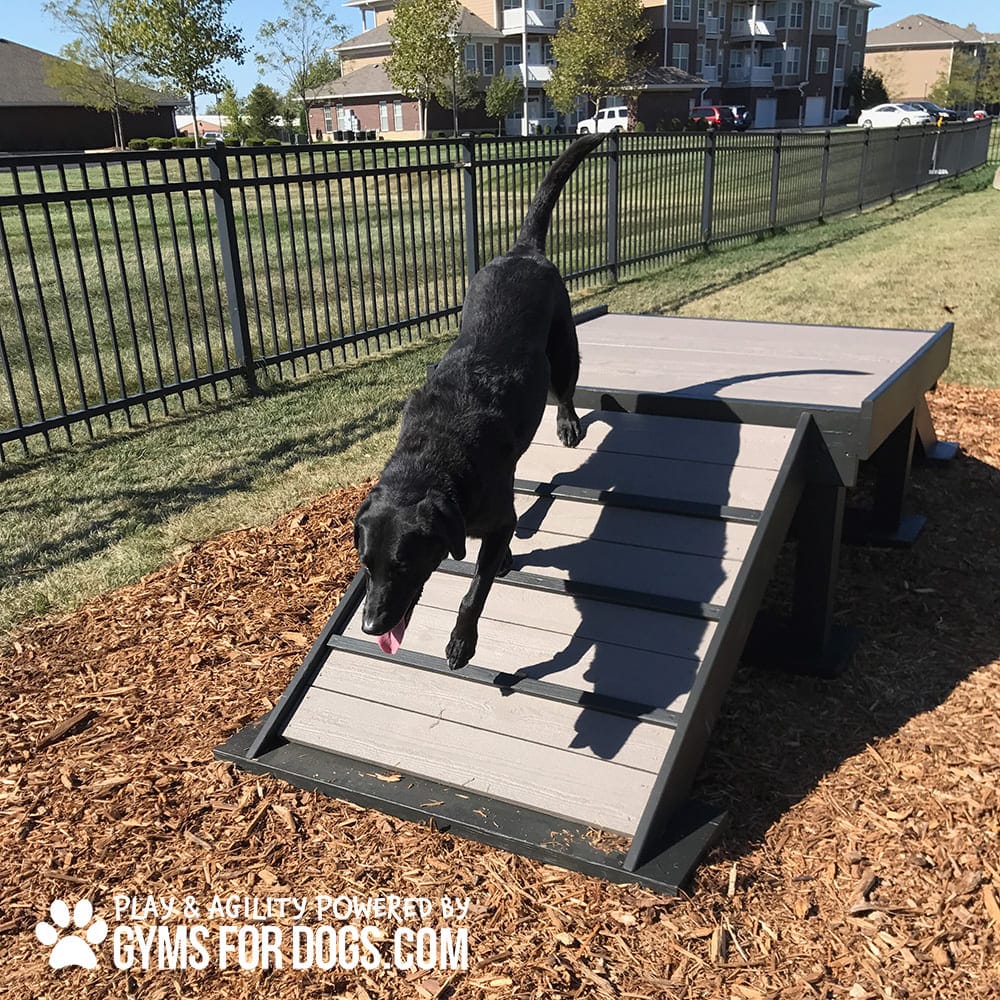 Agility Equipment Dogs | Dog Agility Equipment | Bridge Climb 29″ H ...