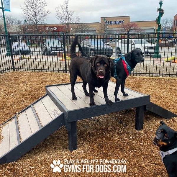 Dog Park Products | Bridge Climb 29" H Sport Incline - Play & Agility ...