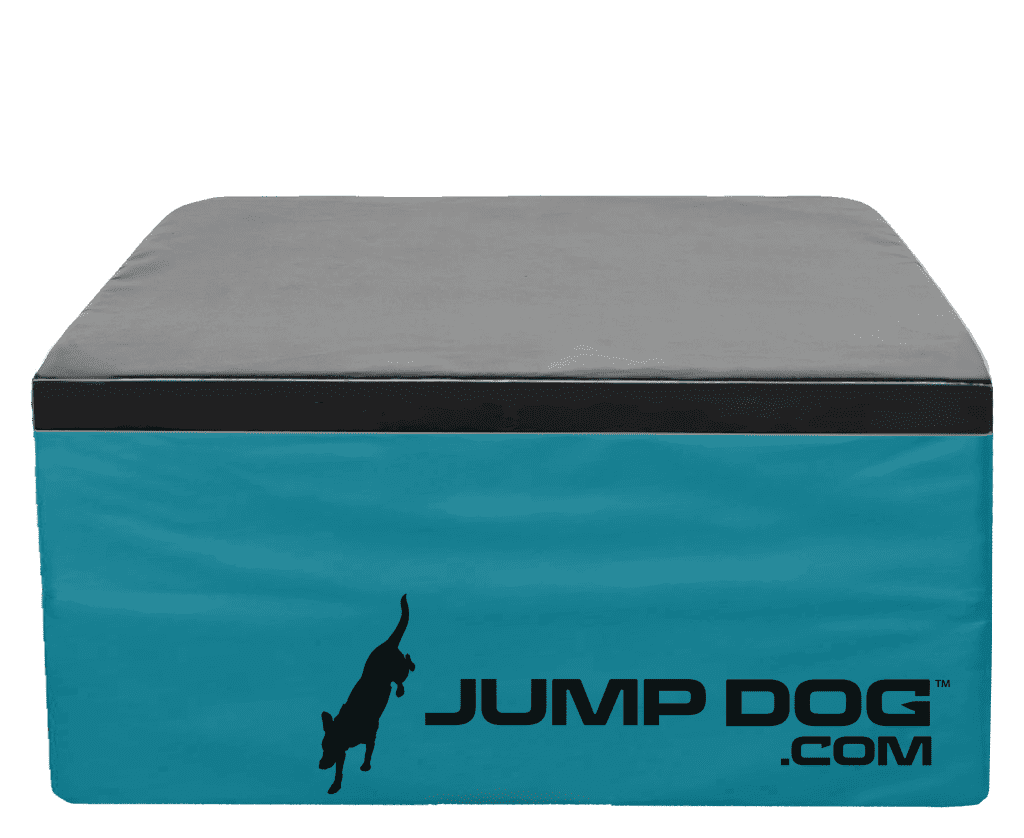 Jump Training Agility Boxes - Set of 5 | Dog Play