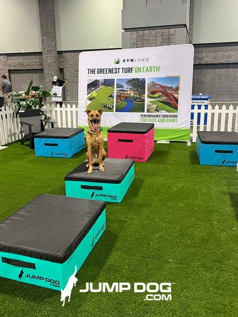 Dog Agility Equipment | Dog Park Products | Dog