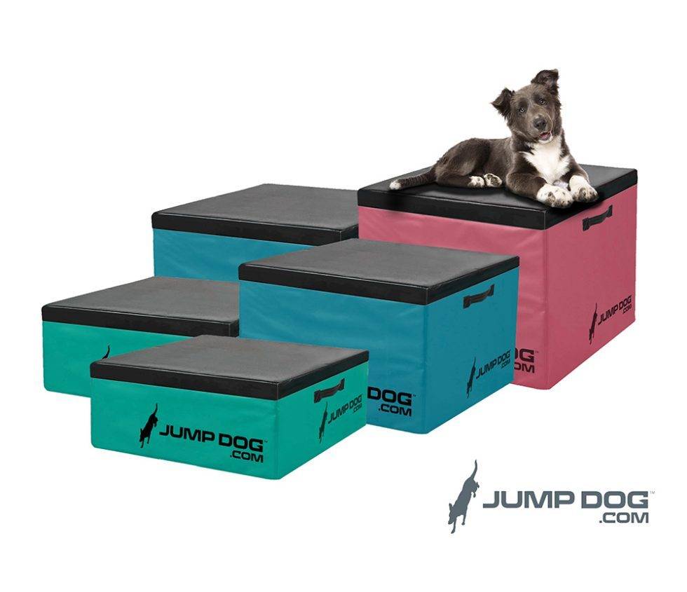 Dog Park Equipment | Dog Agility Products | Dog Park Products