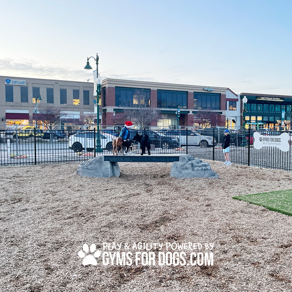 Agility Equipment Dogs | Dog Agility Equipment | Ellie’s Boulder Bridge ...